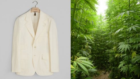 Hemp vs Cotton: Is Hemp Better Than Cotton for Clothes? | Stridewise
