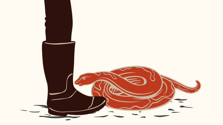 Can Snakes Bite Through Rubber Boots? (The 5 Best Snake Proof Boots ...