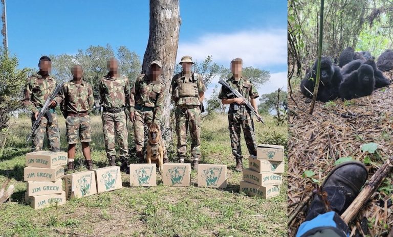 Jim Green African Ranger Review | Punch a Poacher for $179 | Stridewise